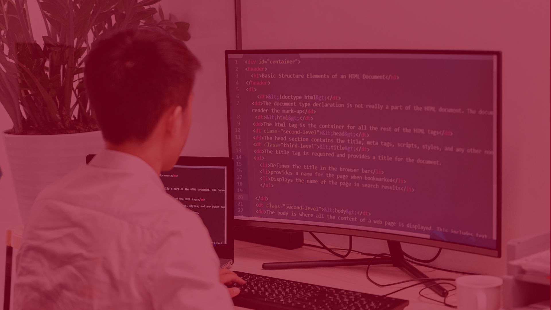 Programista - jak nim zostać, czym się zajmuje, ile zarabia programista